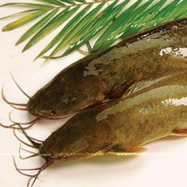 Fish & Seafoods - Asiamartjp