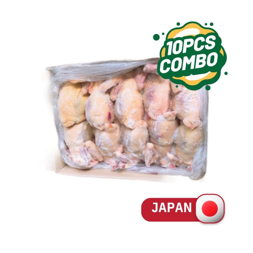 WholeSale Parent Chicken (small) 10pcs/box in Japan